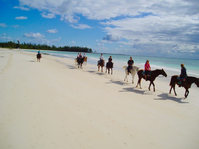 Freeport Bahamas Excursions - Bahamas Cruise Excursions & Tours