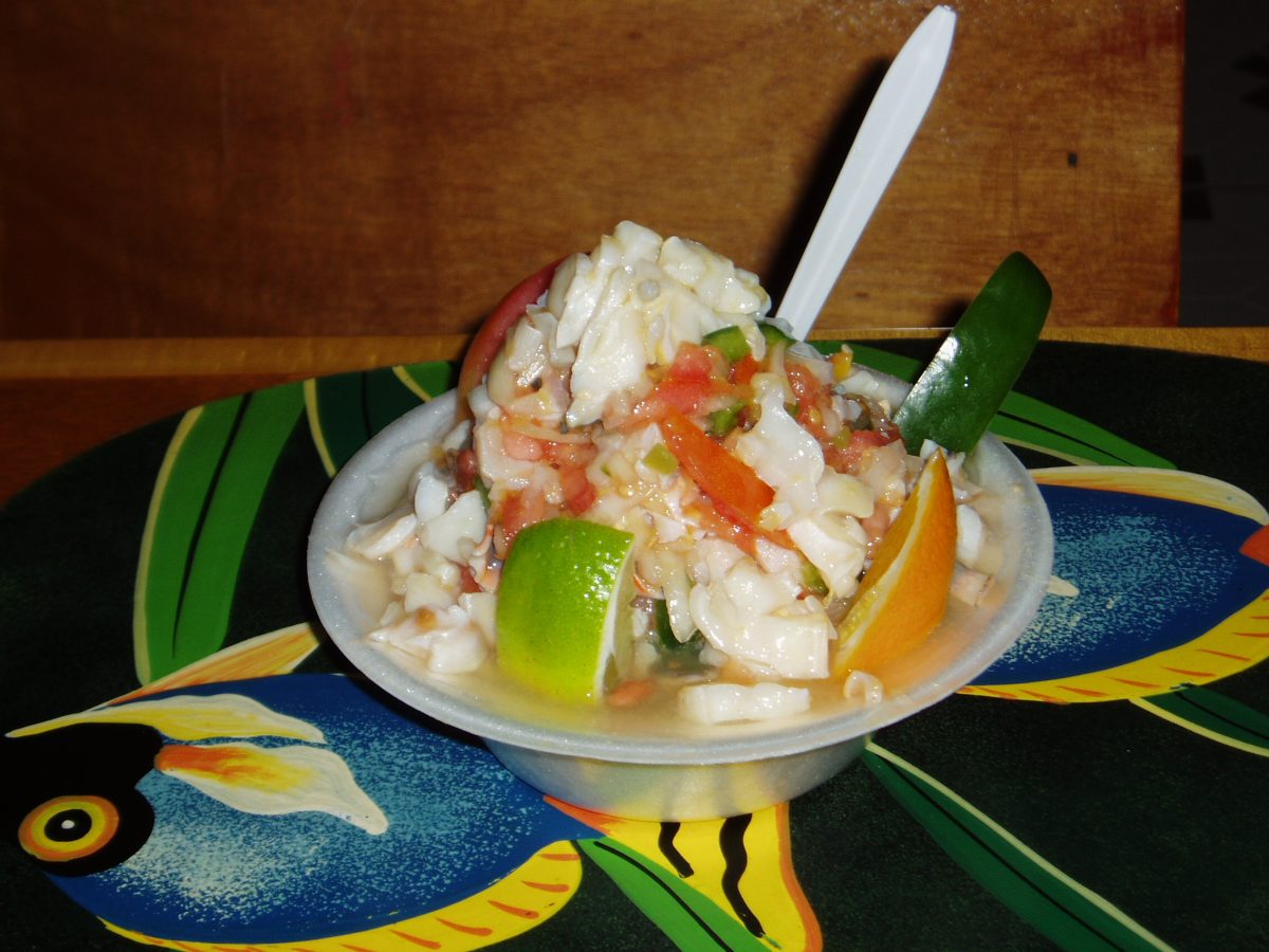 Bahamas Cruise Excursions | Nassau Island Tour